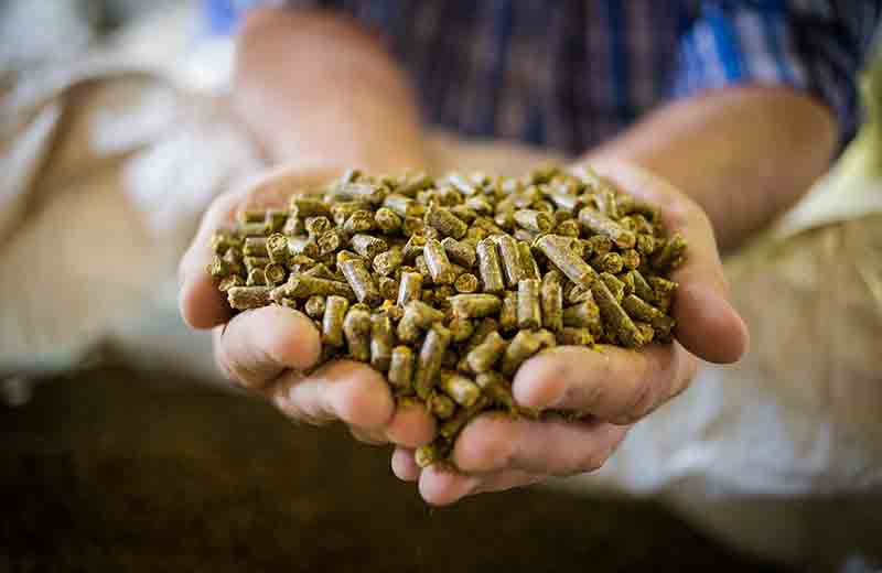 Animals Feed Customised Formulations Mid West Farm Nutrition
